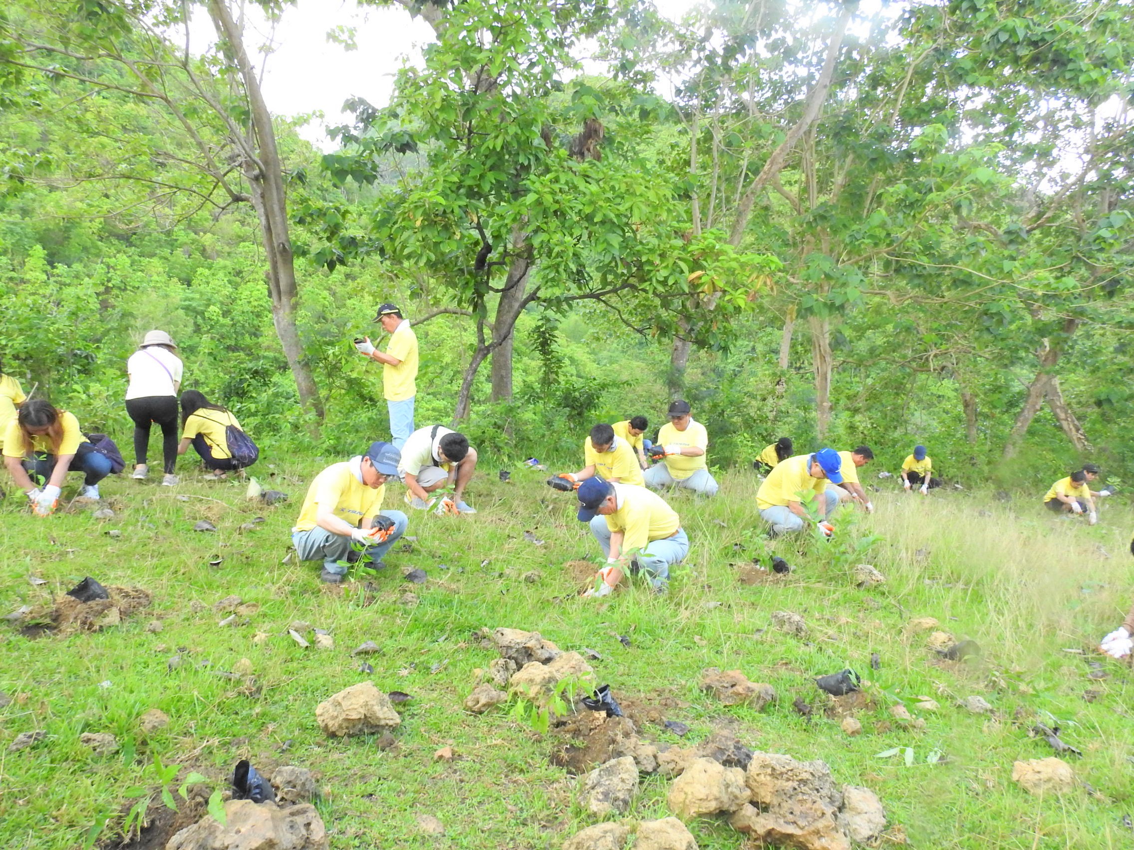 Conduct environmental conservation activities of seas and mountains ...